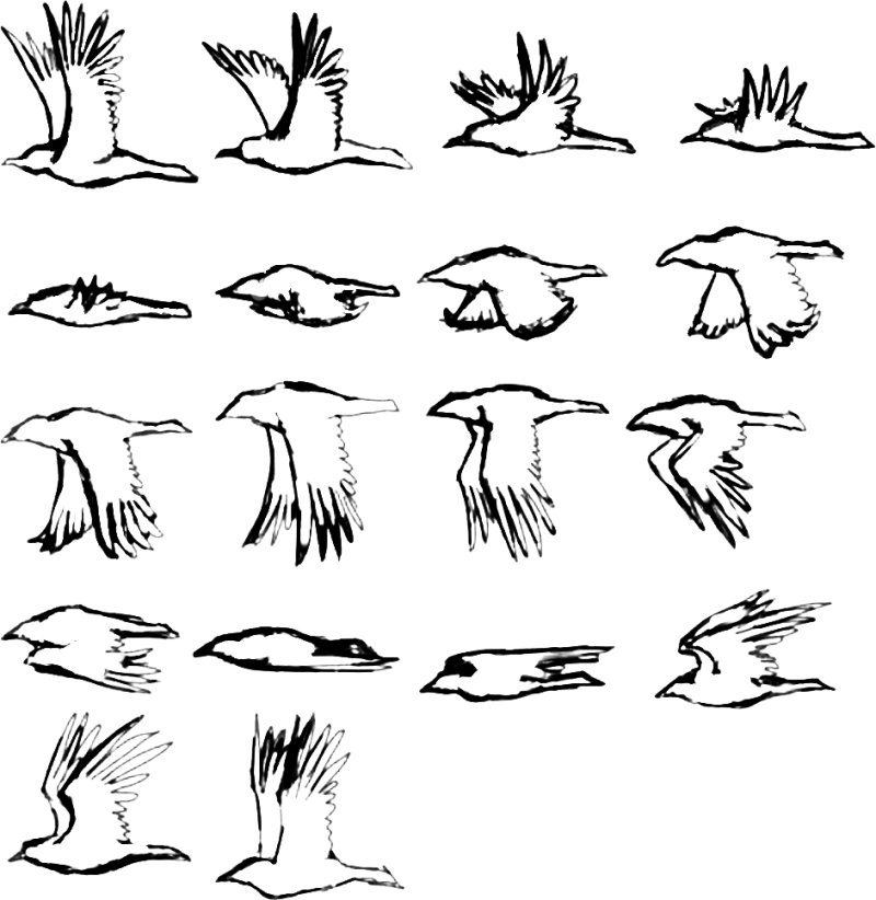 Flip Book Findings [Sketch #3] – MARTINsquared